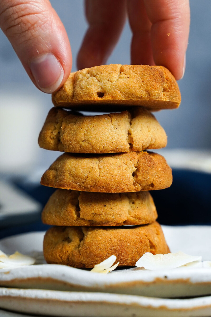 Coconut Flour Protein Cookies - All Nutritious