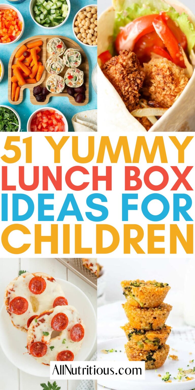 51 Lunch Ideas for Kids School Lunch Box - All Nutritious