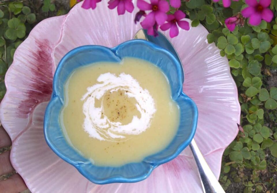 31 Creamy Pureed Diet Recipes for Soft Food Diet - All Nutritious
