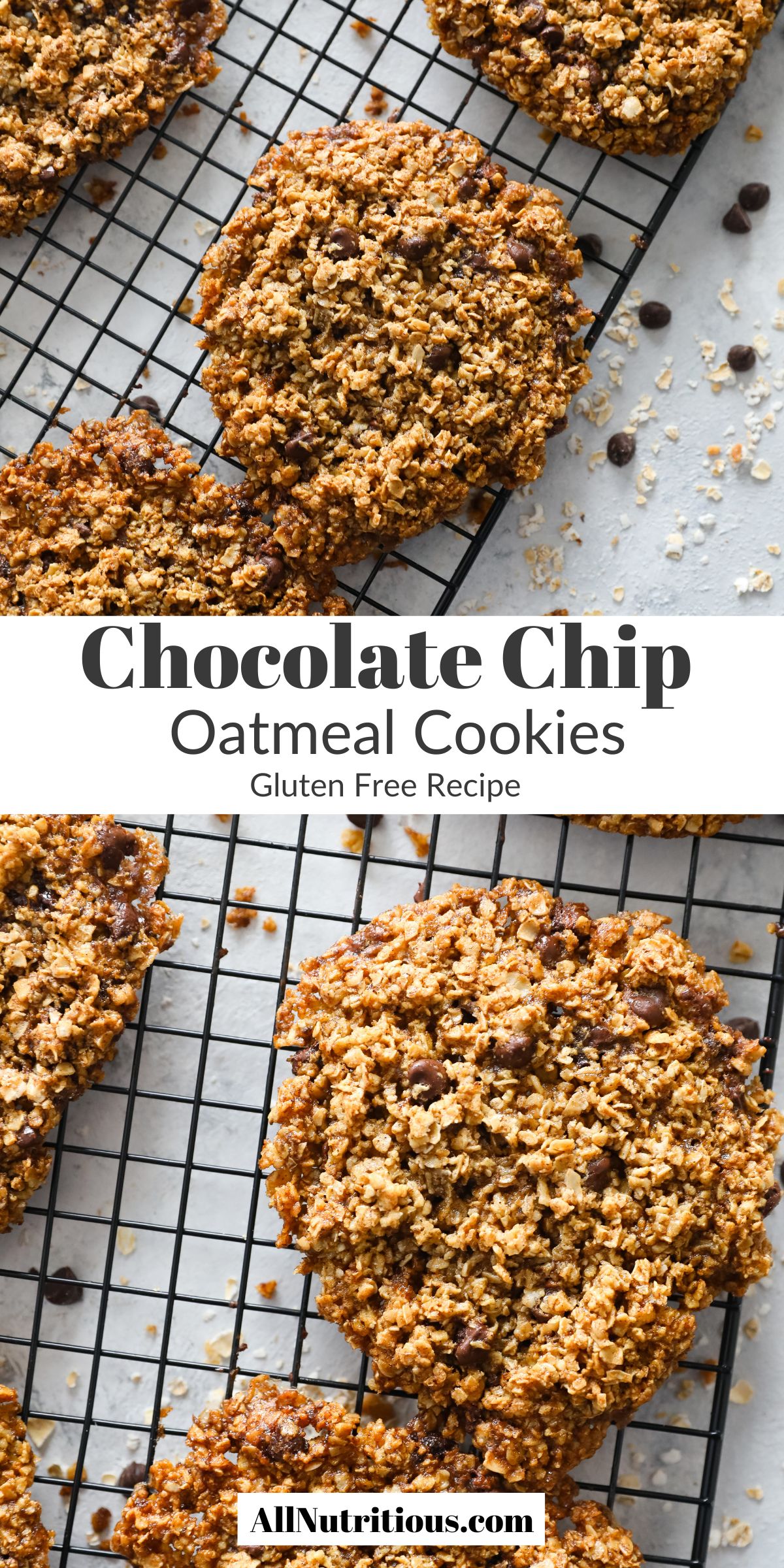 Oatmeal Chocolate Chip Cookies - All Nutritious