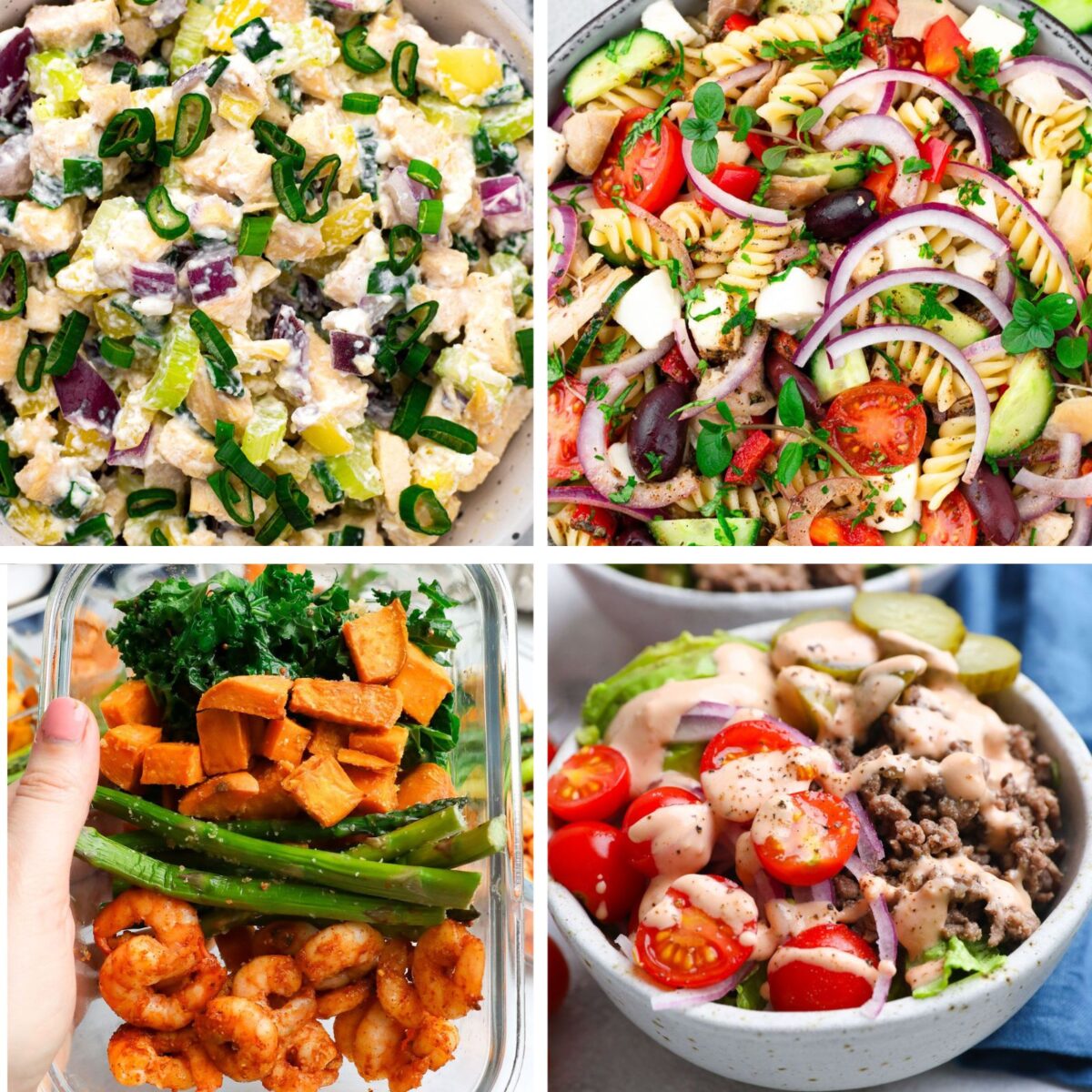 Low Calorie Recipes - All Nutritious