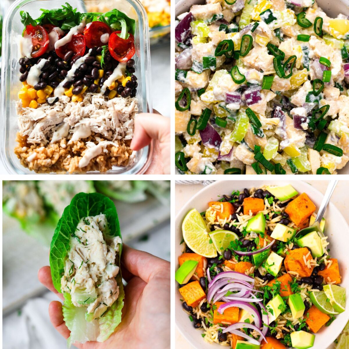 Lunch Recipes - All Nutritious
