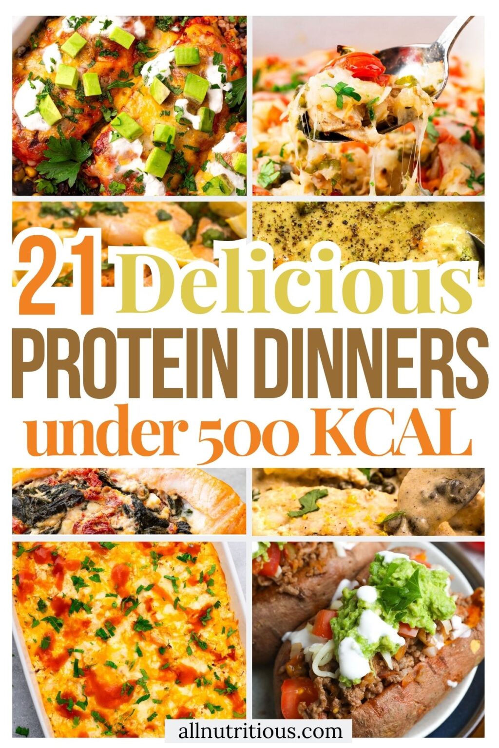 21 High Protein Dinners Under 500 Kcal - All Nutritious